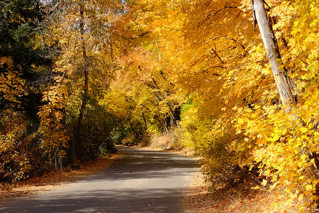 Fujifilm X100F Battery Life | FUJI X WEEKLY