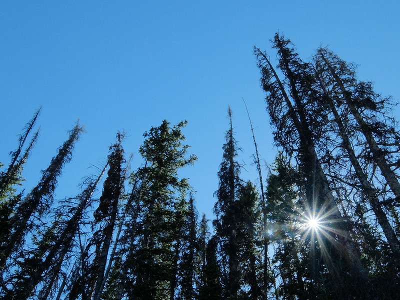 Fujifilm X-Trans II Film Simulation Recipe: Astia | FUJI X WEEKLY