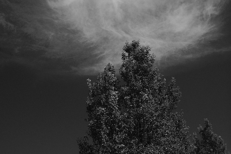 Fujifilm White Balance Shift: What It Is + How To Use It | FUJI X WEEKLY