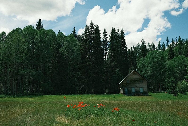 Fujifilm X100V Film Simulation Recipe: Agfa Vista 100 | FUJI X WEEKLY