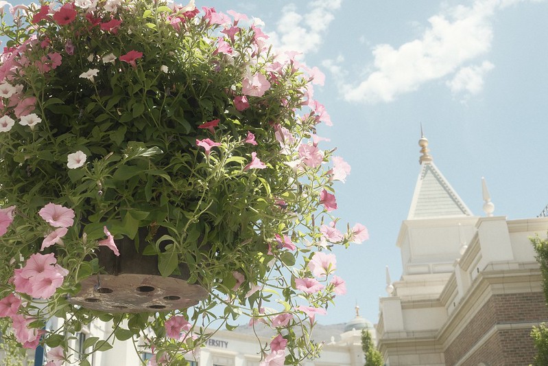 Fujifilm X-Trans IV Film Simulation Recipe: Kodak Portra 800 v2 | FUJI ...