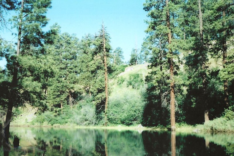 Fujifilm X-E4 (X-Trans IV) Film Simulation Recipe: Kodak High ...