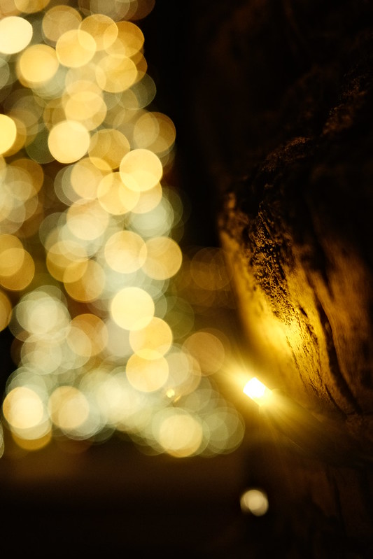 Creative Collective 037: Tilted Filter for Flare | FUJI X WEEKLY