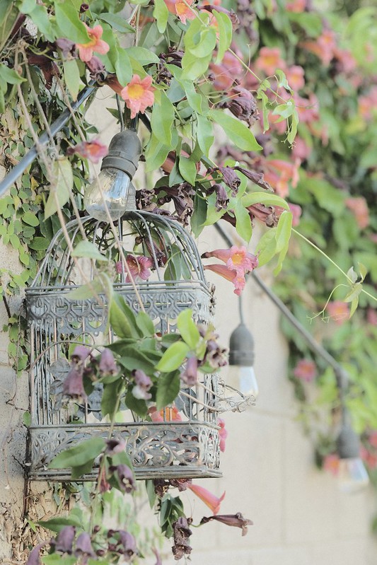 Fujicolor Pro — Fujifilm X-Trans III (+ X-T3 & X-T30) Film Simulation ...