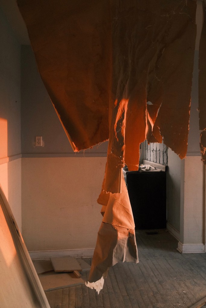 Classic Negative film simulation | FUJI X WEEKLY