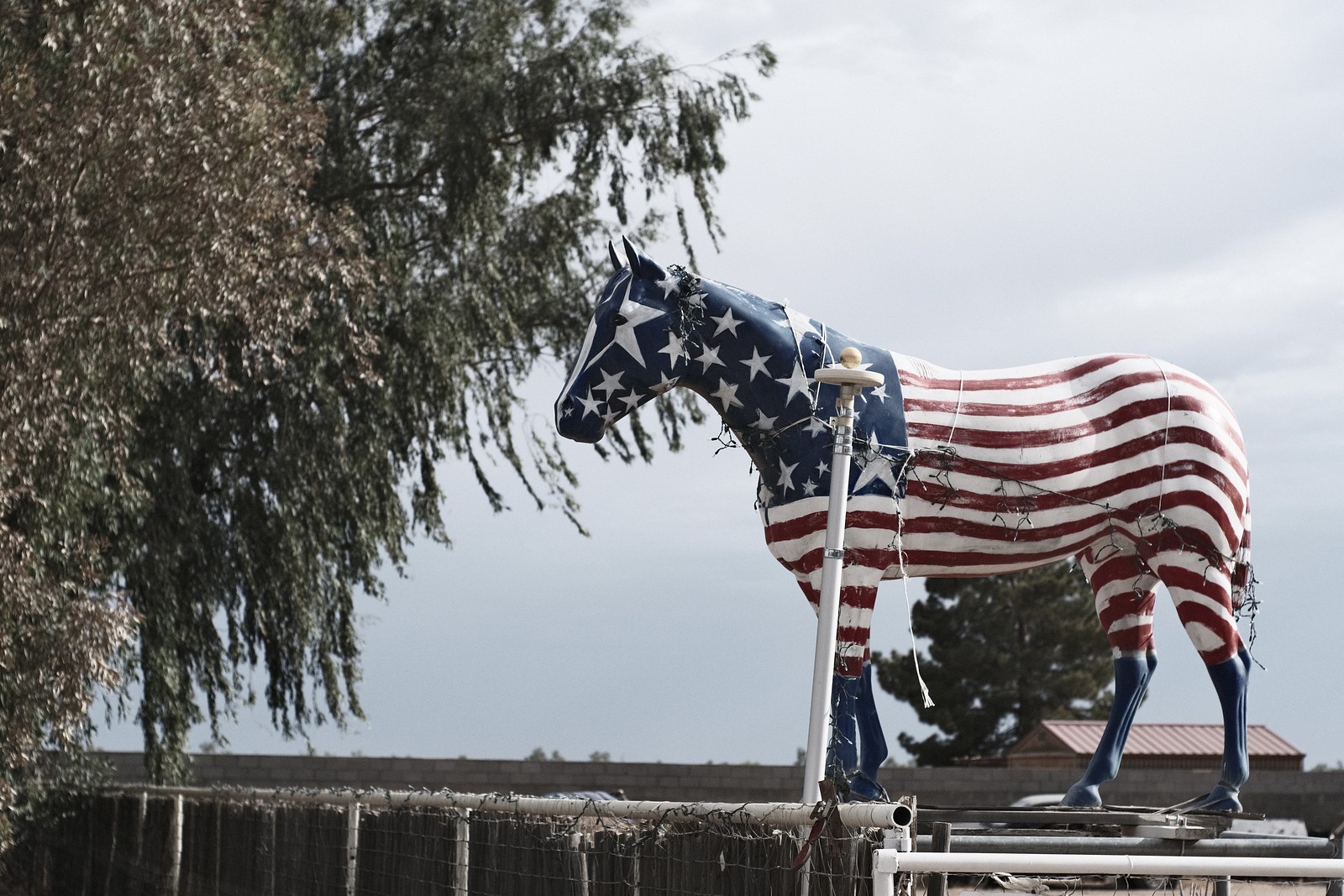 300th Film Simulation Recipe + Fuji X Weekly is 6 Years Old!! | FUJI X ...