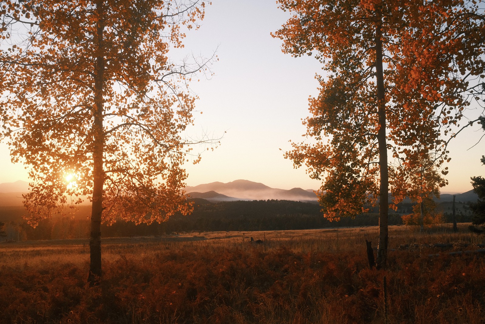 I used THESE 7 Film Simulation Recipes for Fall Colors on my Fujifilm ...