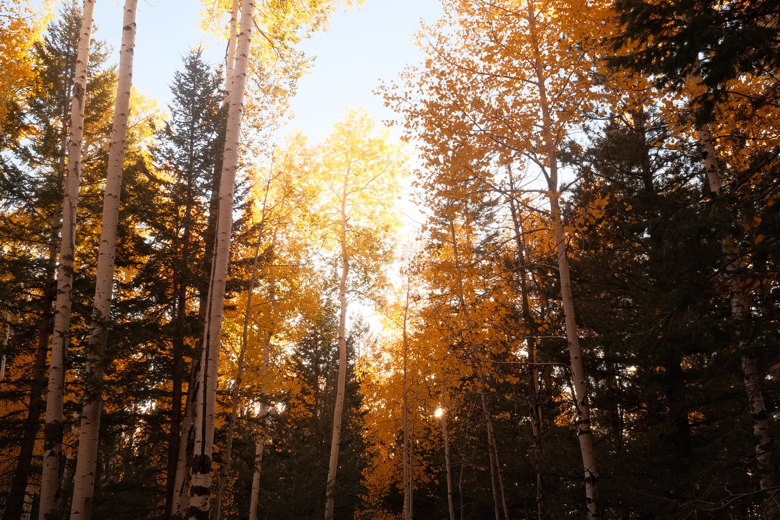 Helping You Decide Which Film Simulation Recipes to Choose | FUJI X WEEKLY