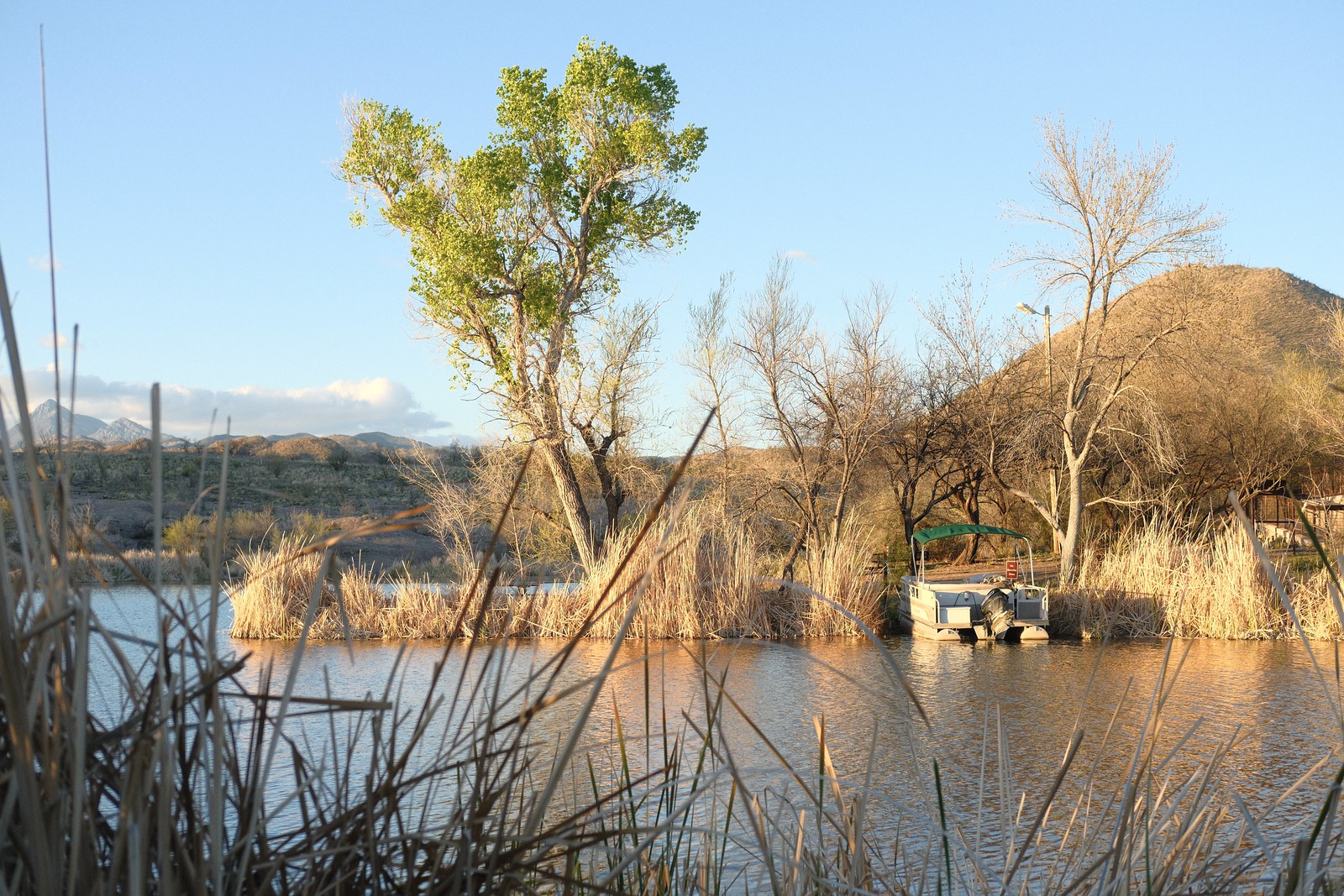 53617289736_00826d3684_h | FUJI X WEEKLY