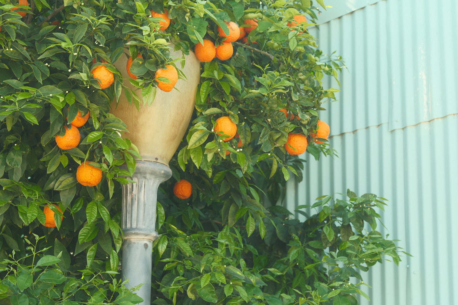 My 10 Favorite Film Simulation Recipes that use Eterna | FUJI X WEEKLY