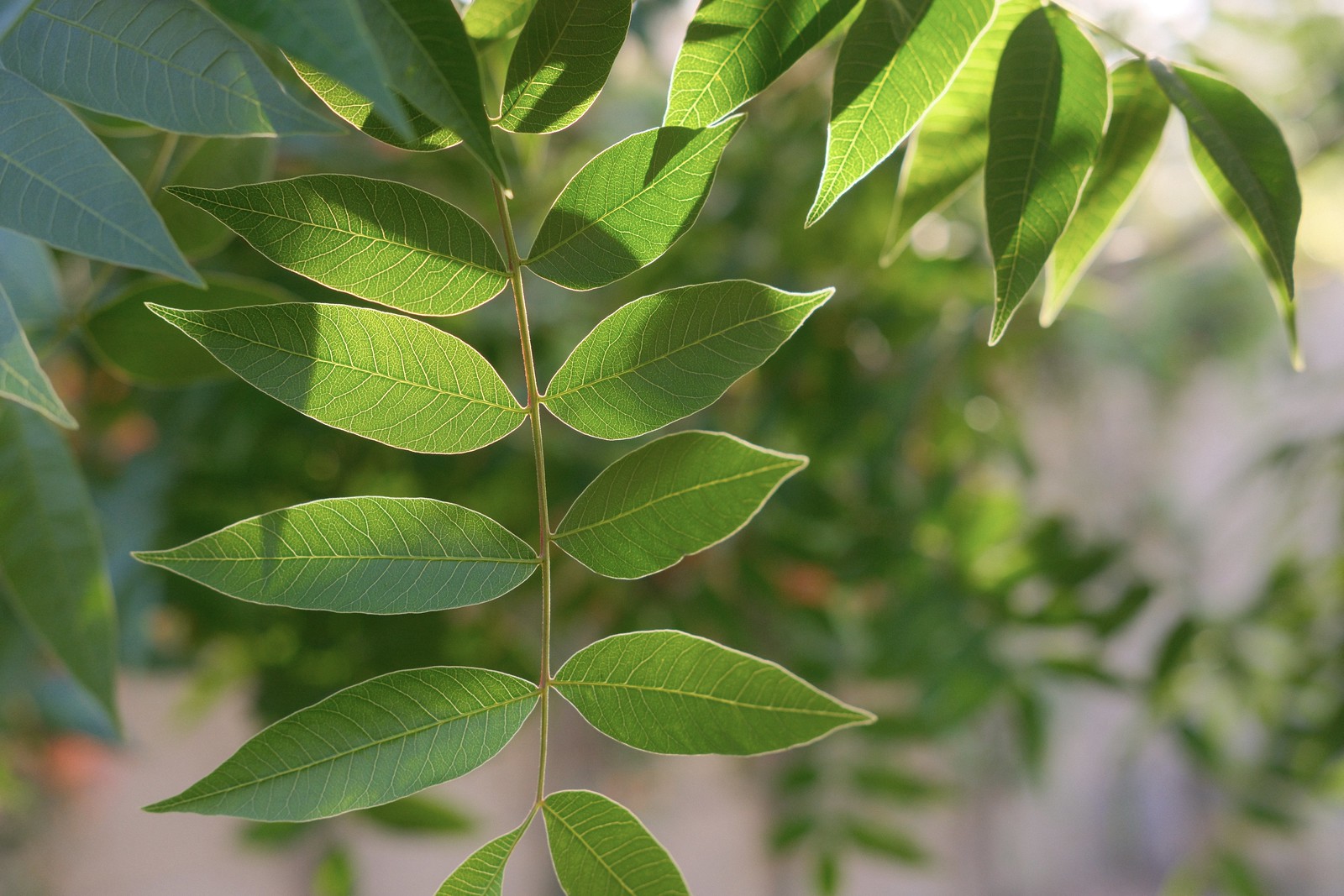 53681174805_393878b06f_h | FUJI X WEEKLY