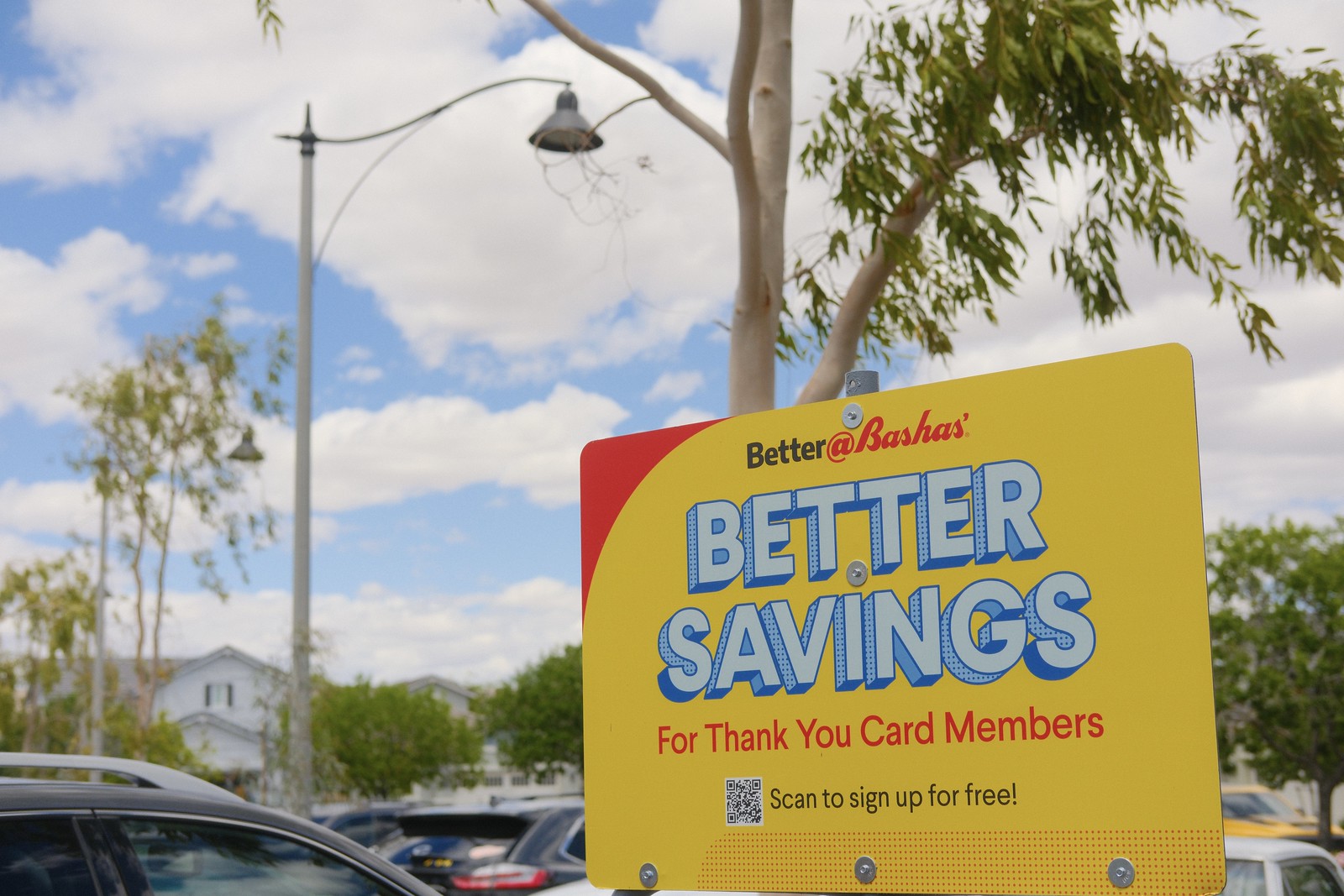 53683412653_0d2a65906b_h | FUJI X WEEKLY