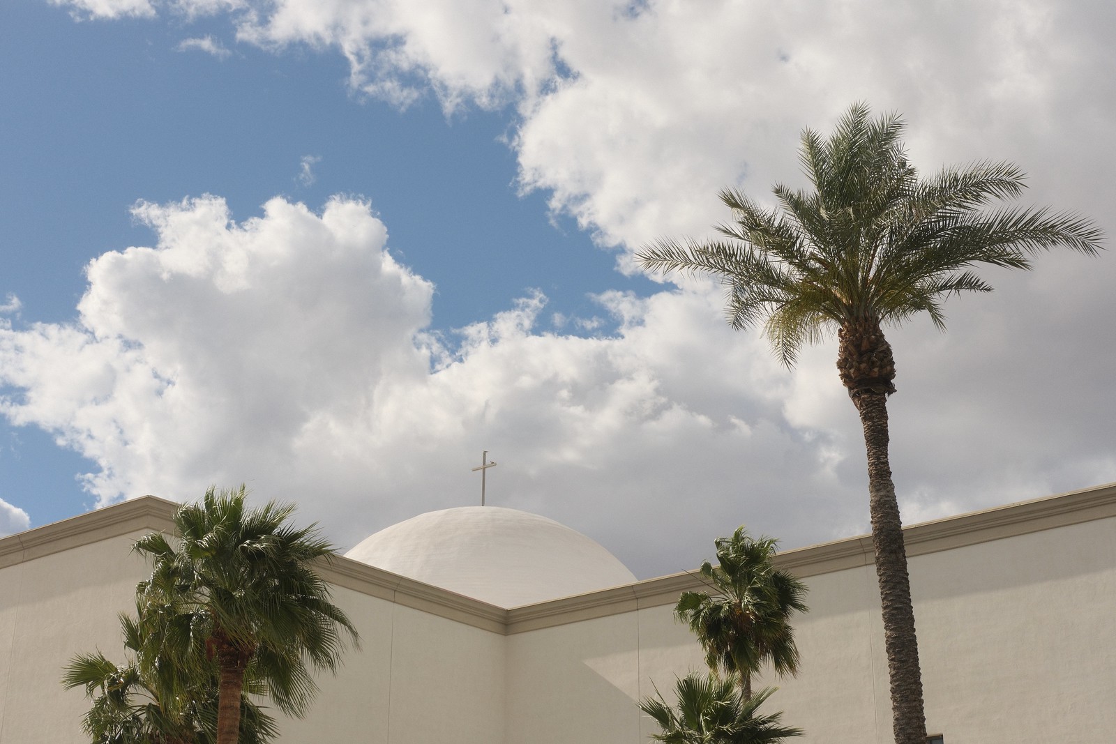 53685133393_61e73eadd1_h | FUJI X WEEKLY