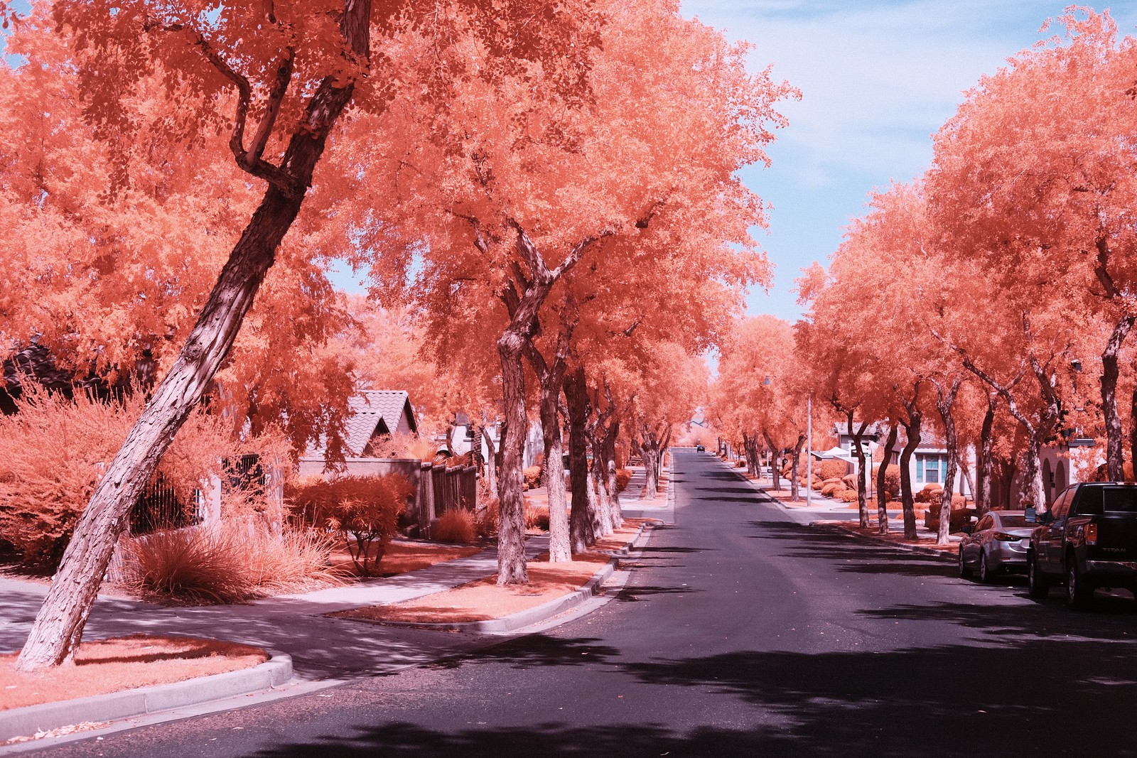 The Colorful World of Infrared — Experiments in Full Spectrum ...