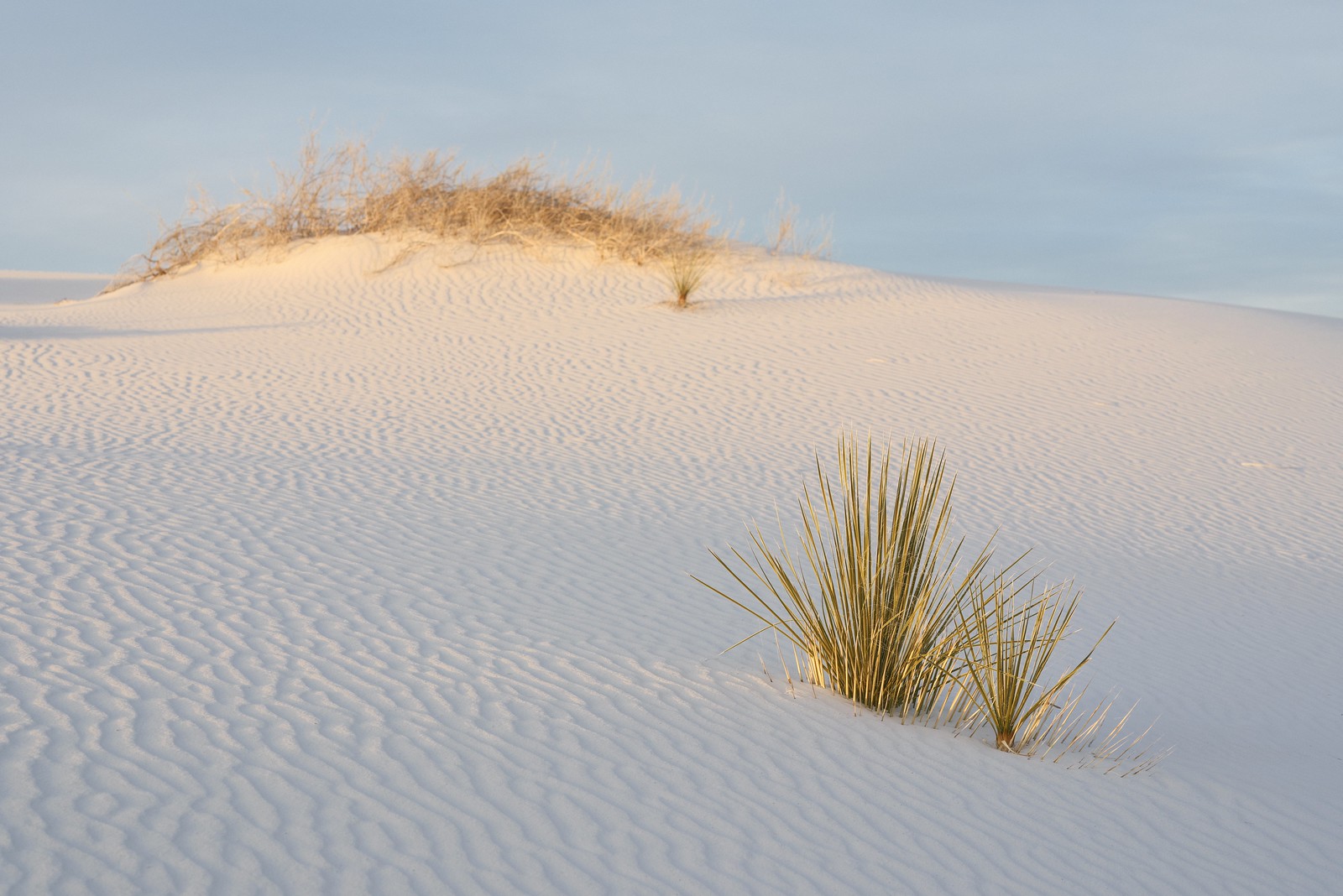 New Year, New Project: 52 Weeks of Photography — Part 1, Introduction & 1st Week | FUJI X WEEKLY