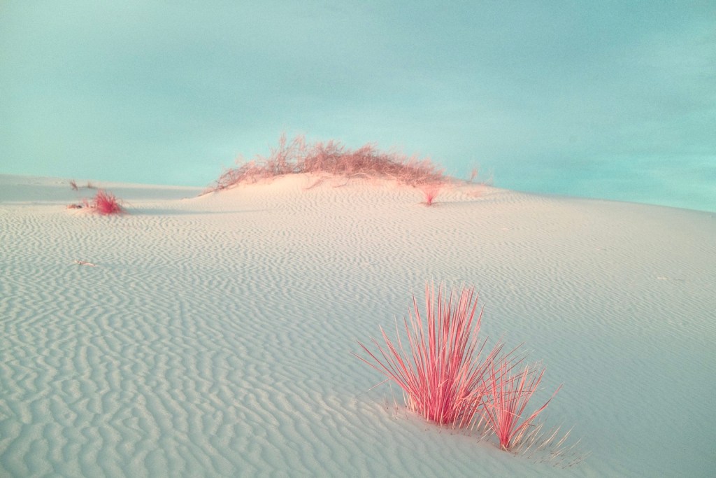 Infrared Photography on Fujifilm Full Spectrum Cameras | FUJI X WEEKLY