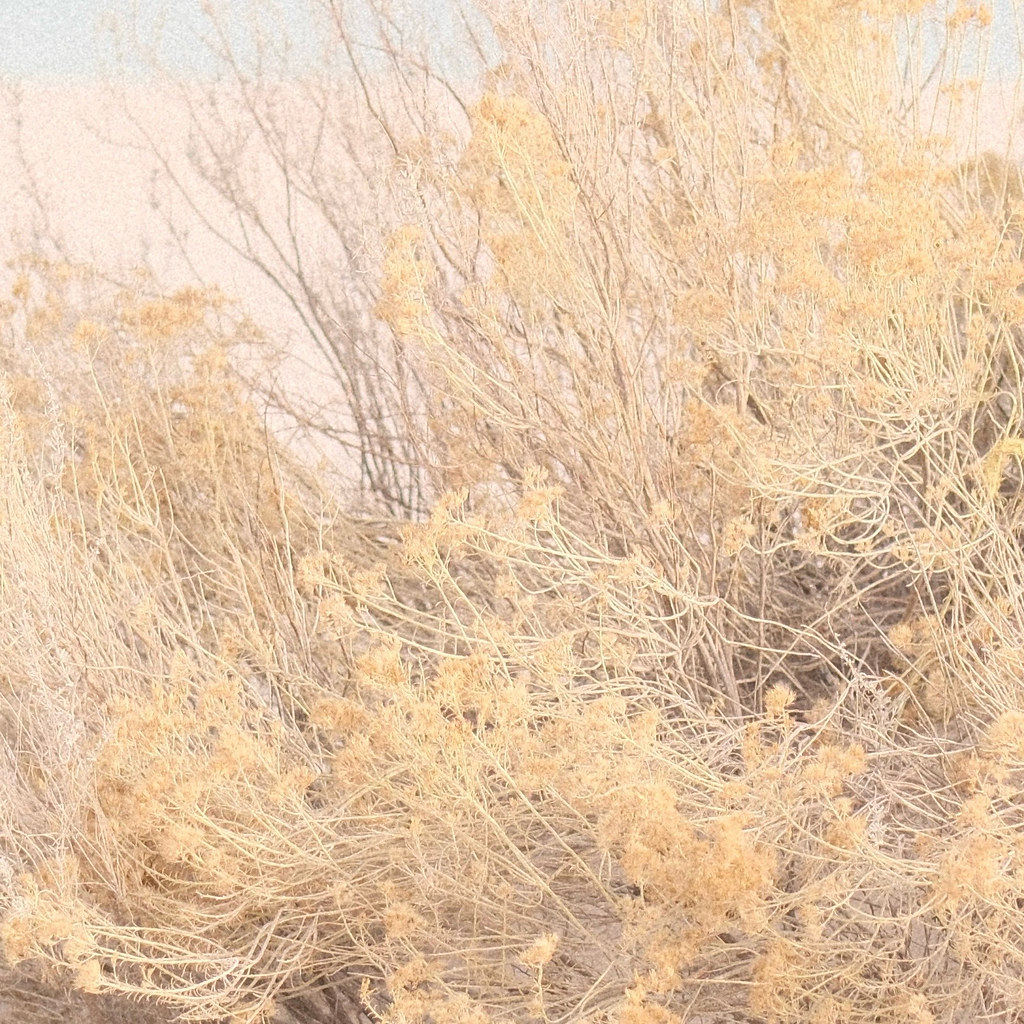 Fujifilm Grain Comparison: GFX100S II vs. X-T5 | FUJI X WEEKLY