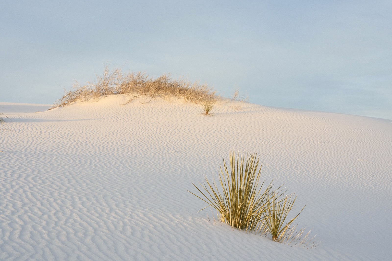 54235116491_bcdf3c6efe_h | FUJI X WEEKLY