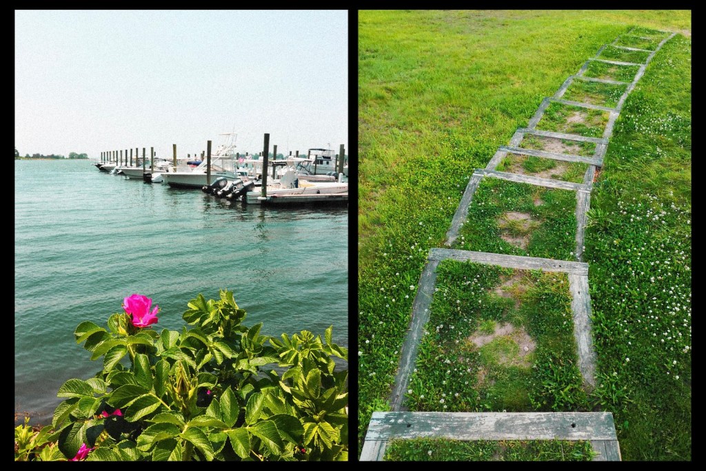 Review: Fujifilm X Half — A Unique Camera | FUJI X WEEKLY