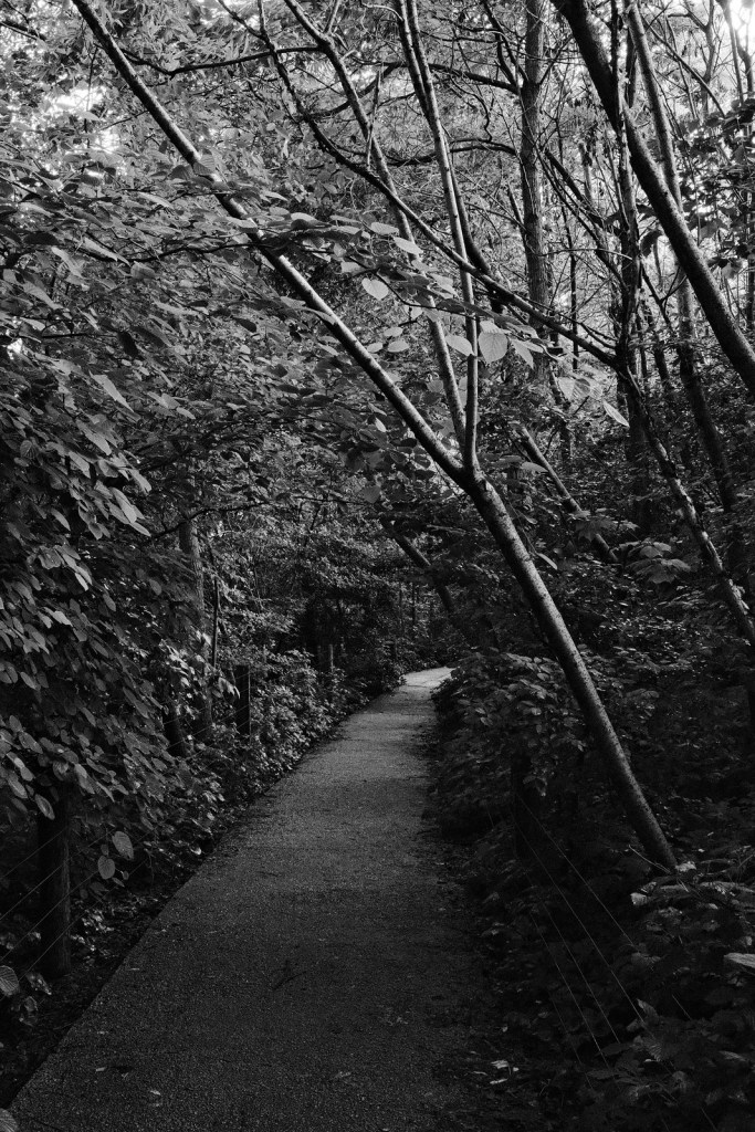 B&H BILD Expo Recap | FUJI X WEEKLY