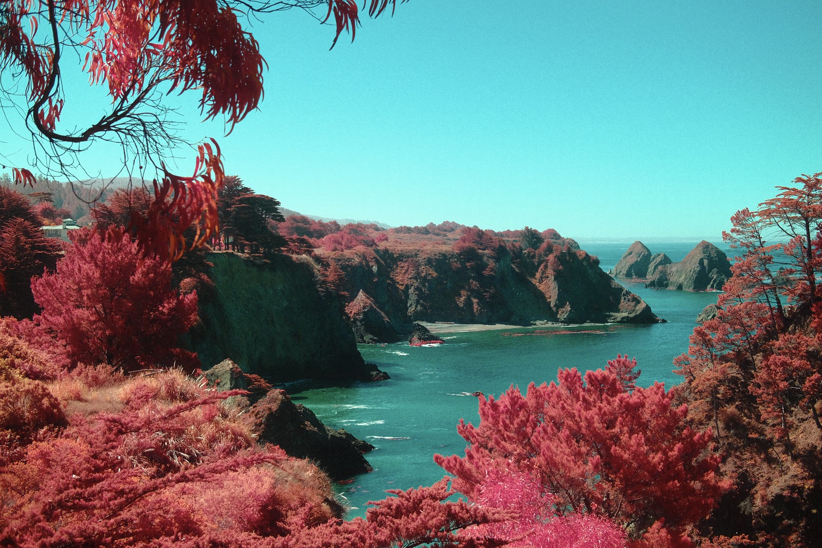 See Beyond the Visible with Infrared Photography | FUJI X WEEKLY
