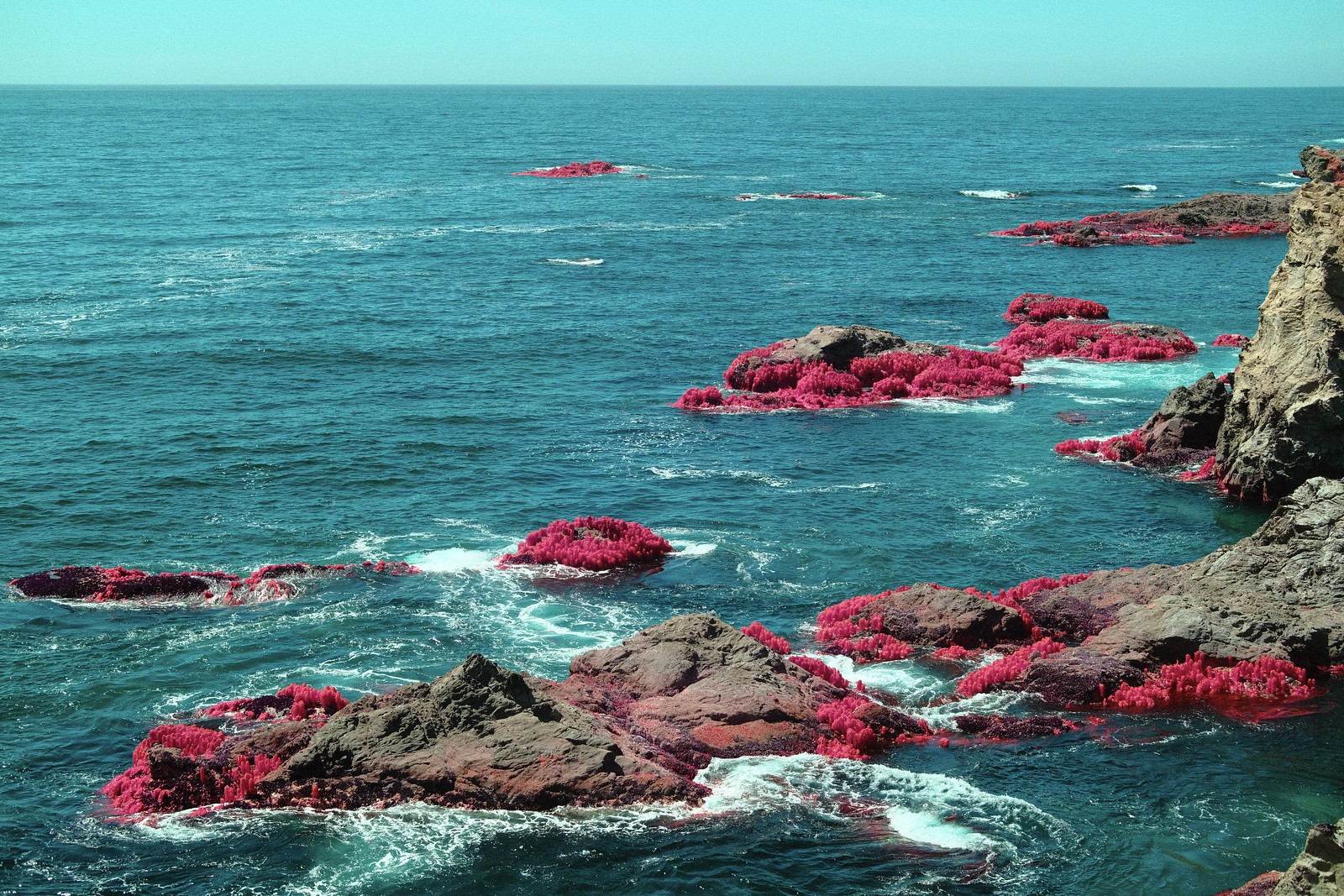 Aerochrome v2 — Fujifilm X-T3/X-T30 Full Spectrum Infrared Film ...