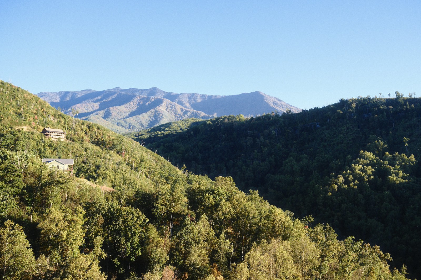 54995678367_2bb63e9e49_h | FUJI X WEEKLY